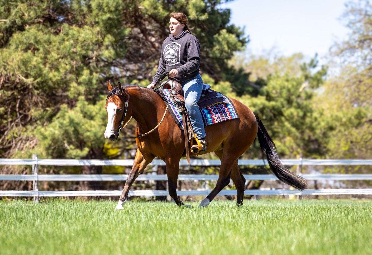 Katy - Awesome Ranch & Arena Horse 4 Yr Old Bay AQHA Mare!