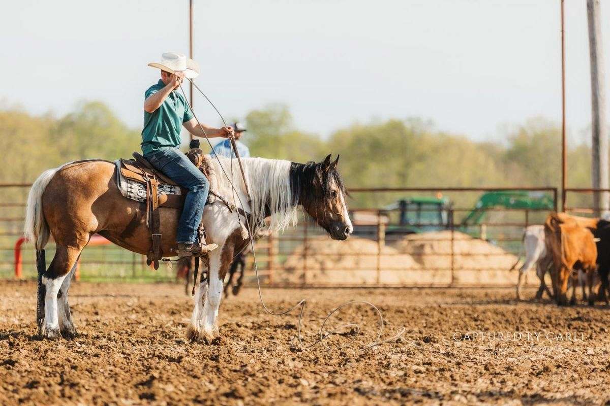 Jewl - Truly One of a Kind 5 Yr Old Paint Gypsy/QH Cross Mare!
