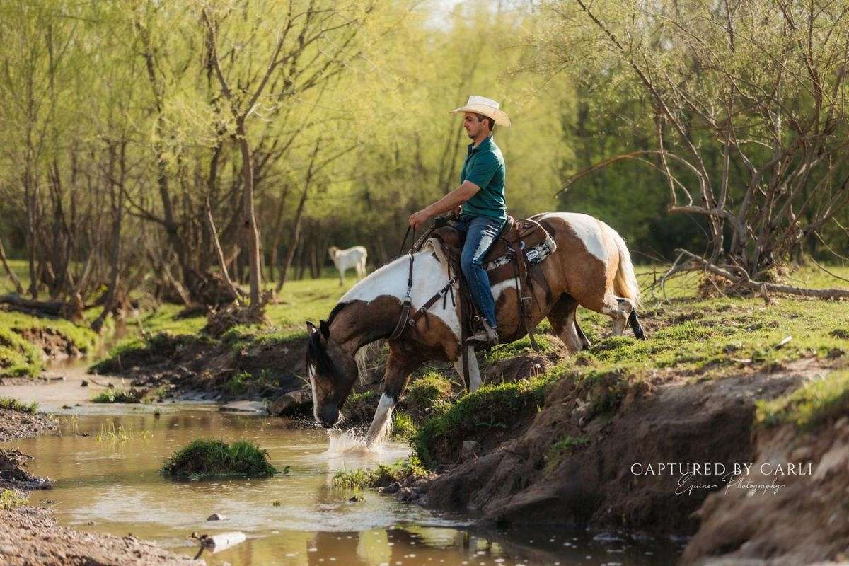 Jewl - Truly One of a Kind 5 Yr Old Paint Gypsy/QH Cross Mare!