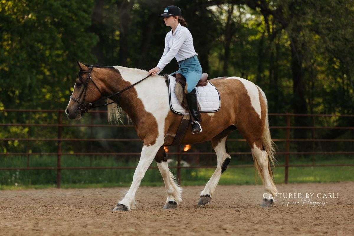 Jewl - Truly One of a Kind 5 Yr Old Paint Gypsy/QH Cross Mare!