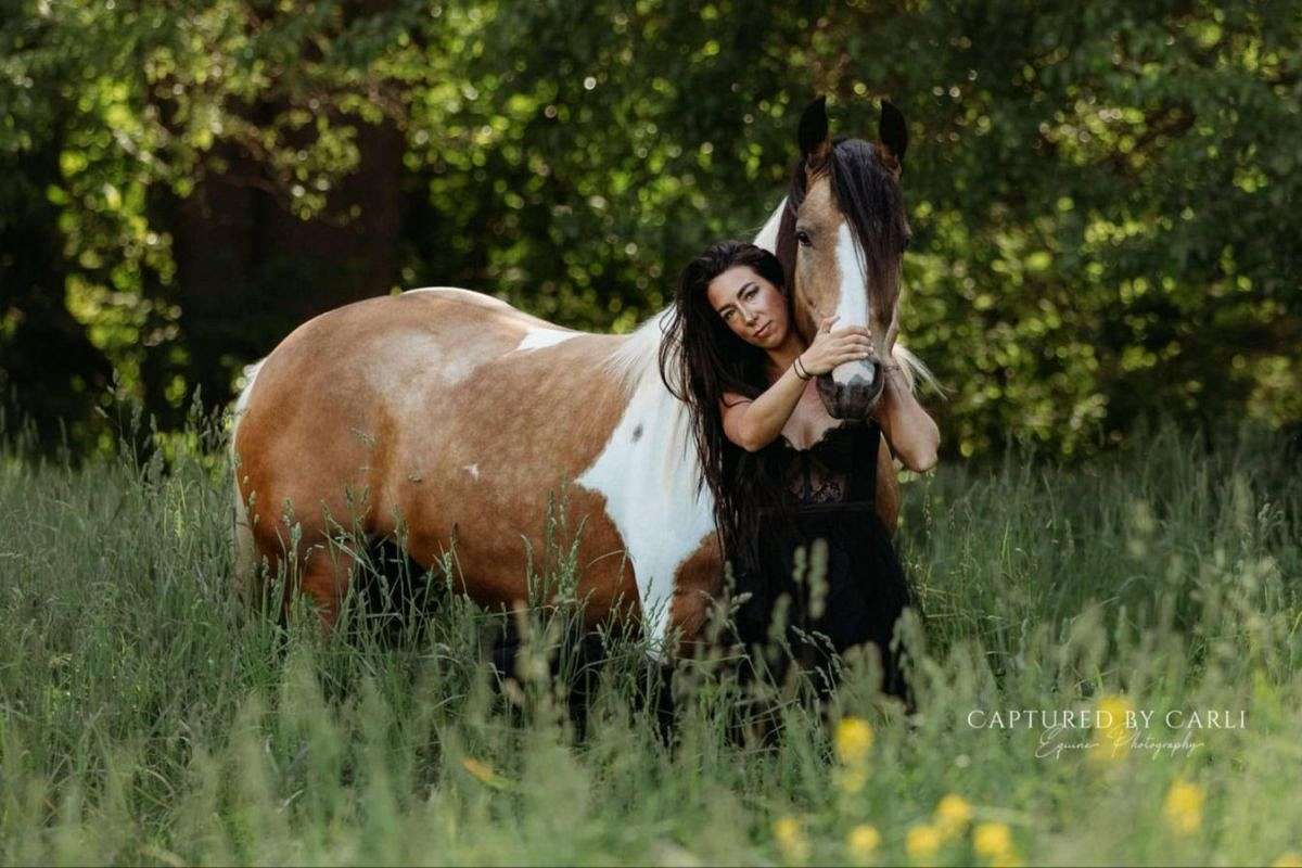 Jewl - Truly One of a Kind 5 Yr Old Paint Gypsy/QH Cross Mare!