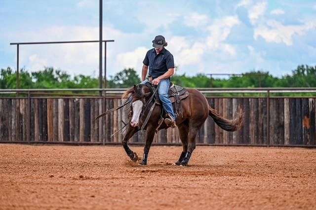 Jewels - Friendly, Flashy & Fun 4 Yr Old Sorrel AQHA Mare!