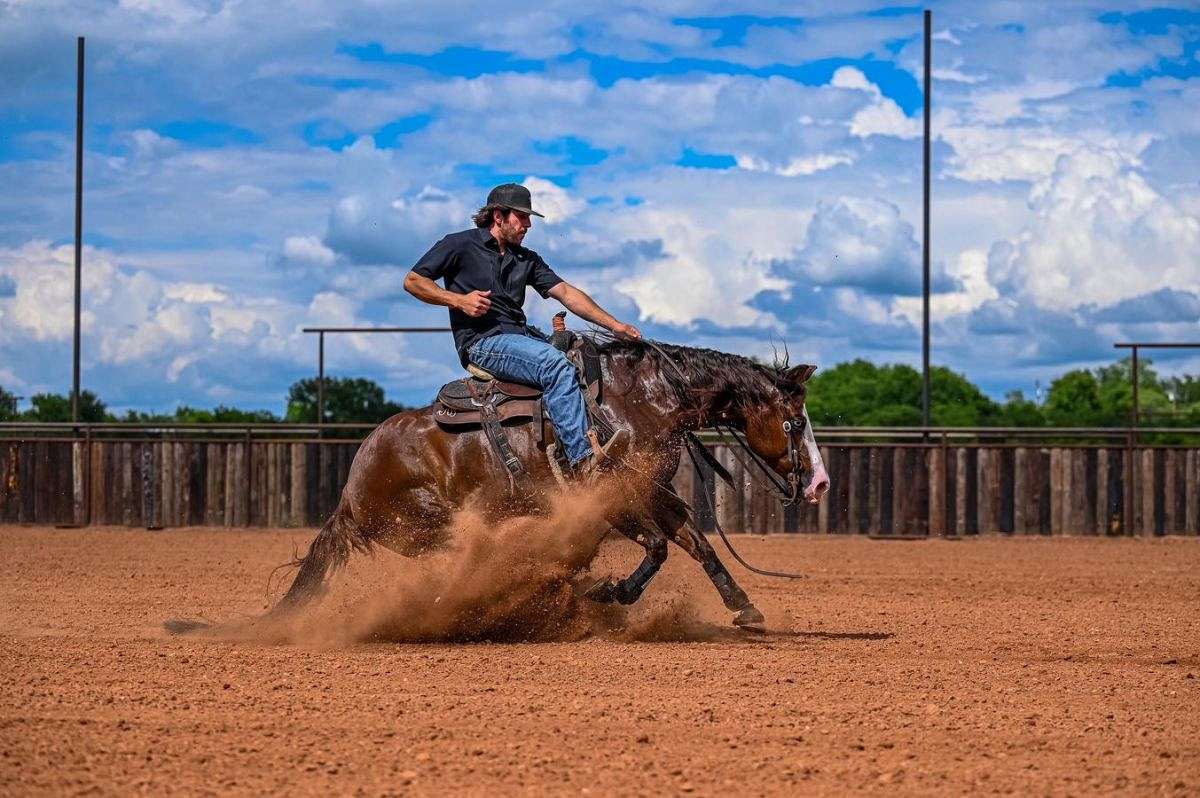 Jewels - Friendly, Flashy & Fun 4 Yr Old Sorrel AQHA Mare!