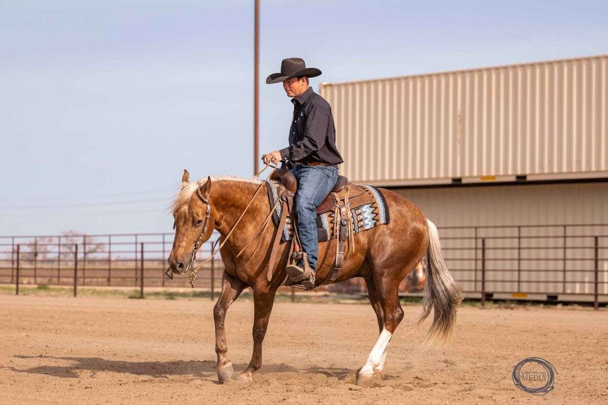 Cancun - a True All-Around Rope Horse 5 Yr Old Palomino AQHA Gelding!