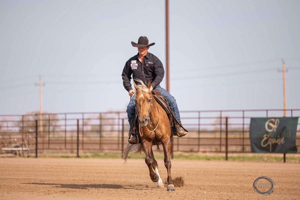 Cancun - a True All-Around Rope Horse 5 Yr Old Palomino AQHA Gelding!