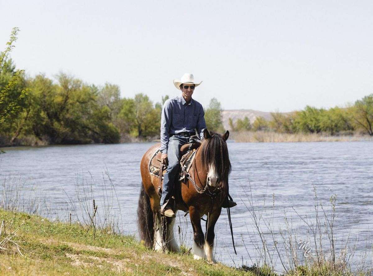 Angus - a True Gem 11 Yr Old Bay Gypsy Horse of America Gelding!