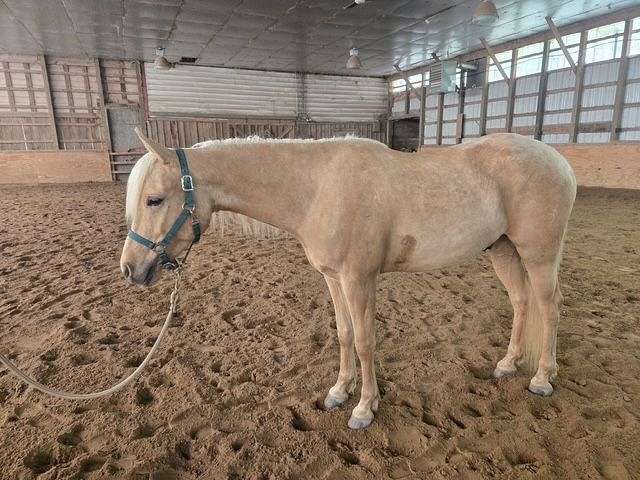 Rrr Gold Star Diamond