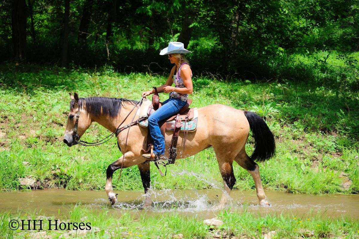 Flashy Buckskin and White Tobiano Paint Mare, Gentle, Ranch Work, Trails