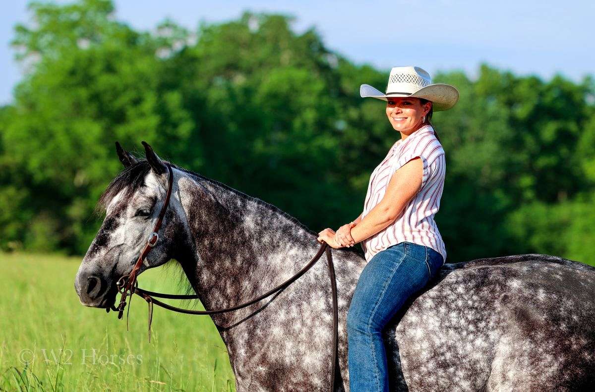 Gaited, Trails, Dapples, Gentle