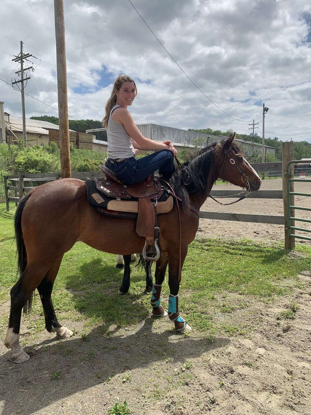 Flashy All Around Mare With Loads of Potential