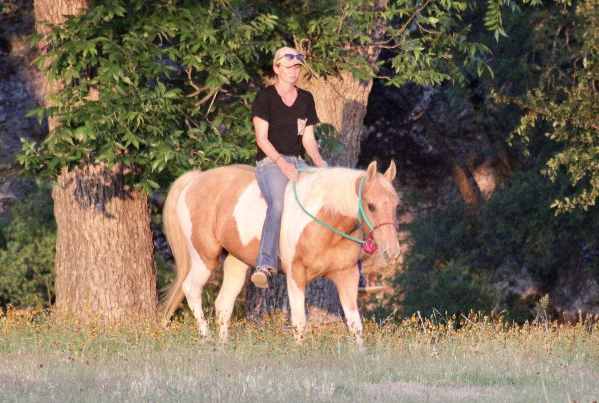 Full Video Gorgeous Paint Trail, Family, Parades, Tricks