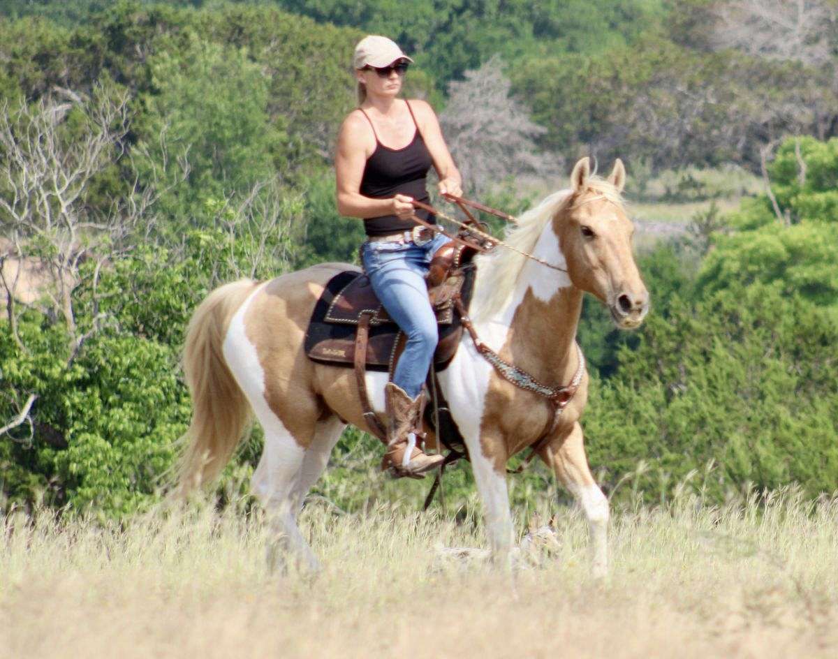 Full Video Gorgeous Paint Trail, Family, Parades, Tricks