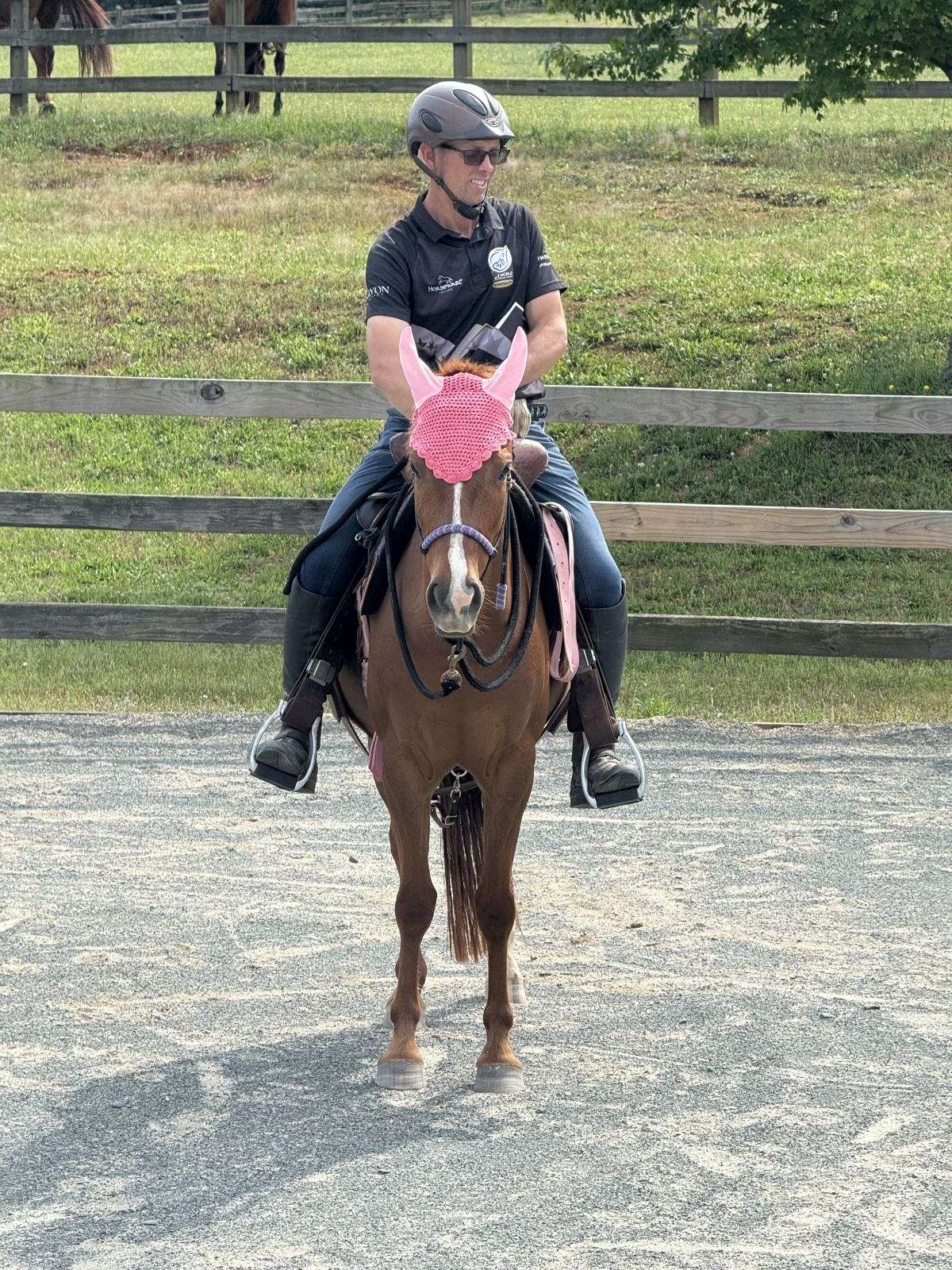 Fancy Sport or Trail Pony Prospect