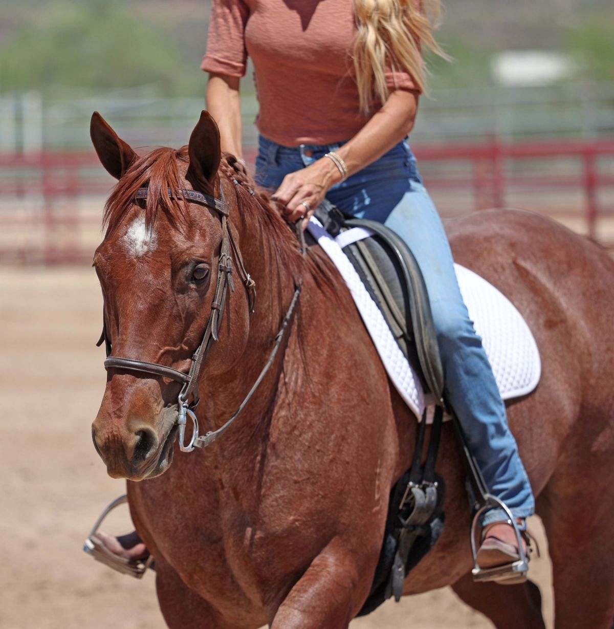 Tumbleweed - the Ultimate Ranch Horse 9 Yr Old Red Roan AQHA Gelding!