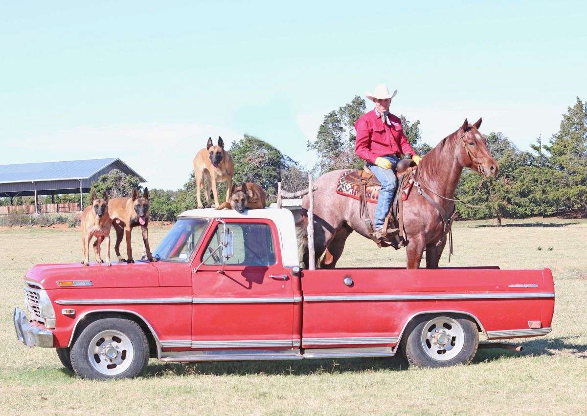 Tumbleweed - the Ultimate Ranch Horse 9 Yr Old Red Roan AQHA Gelding!