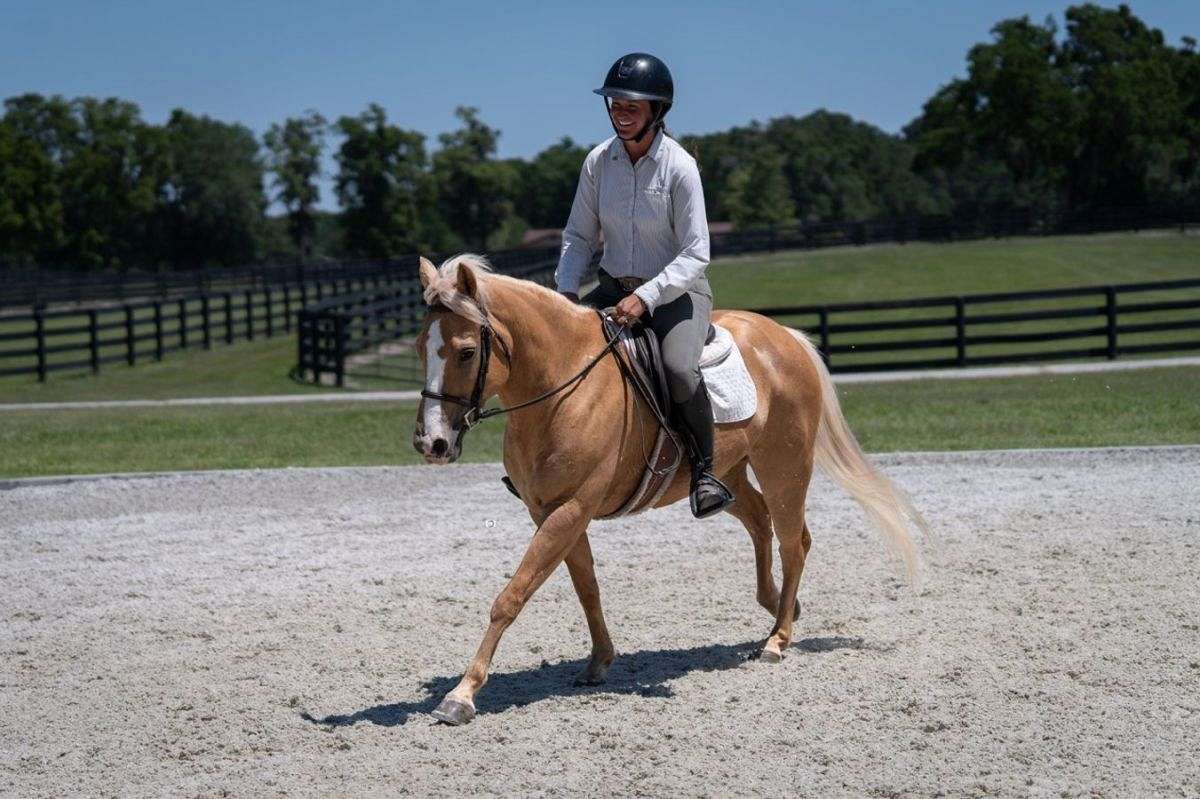 Swayze - Flashy Kid's Pony Deluxe 7 Yr Old Palomino Quarter Pony Mare!