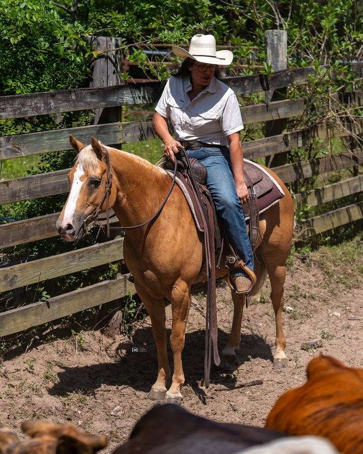 Swayze - Flashy Kid's Pony Deluxe 7 Yr Old Palomino Quarter Pony Mare!