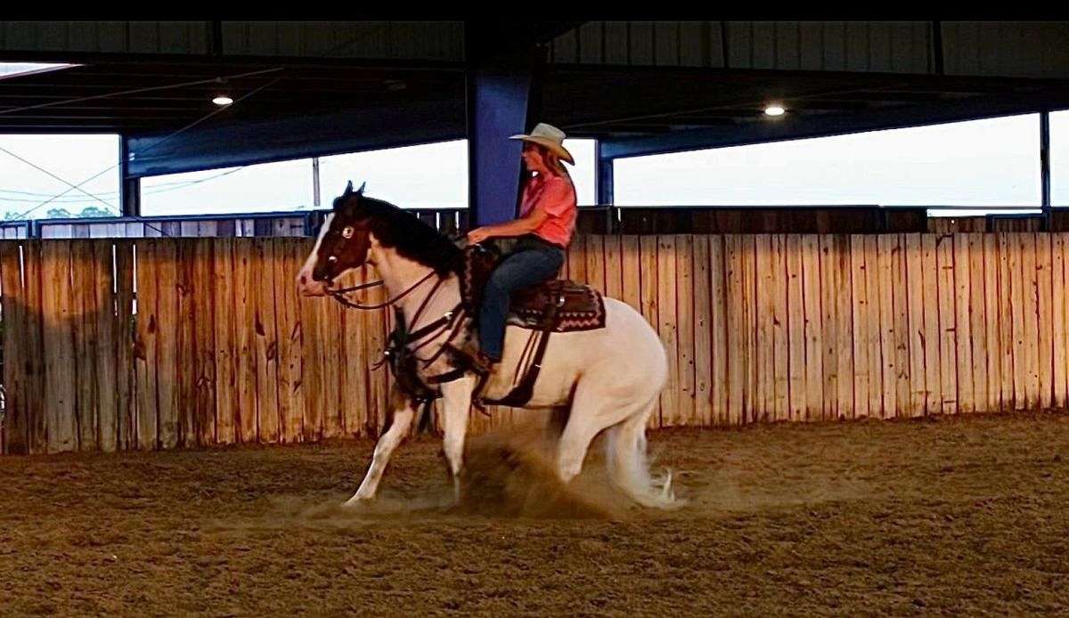 Splash - Excellent Reining & Ranch Prospect 4 yo Bay & White AQHA Gelding!