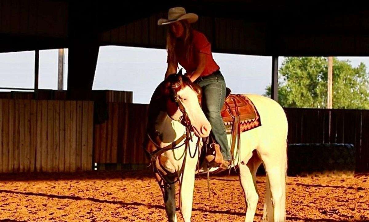 Splash - Excellent Reining & Ranch Prospect 4 yo Bay & White AQHA Gelding!