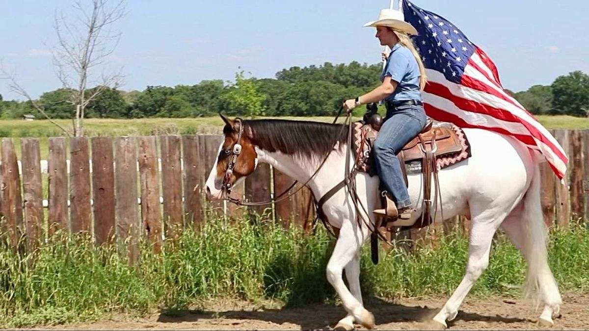 Splash - Excellent Reining & Ranch Prospect 4 yo Bay & White AQHA Gelding!
