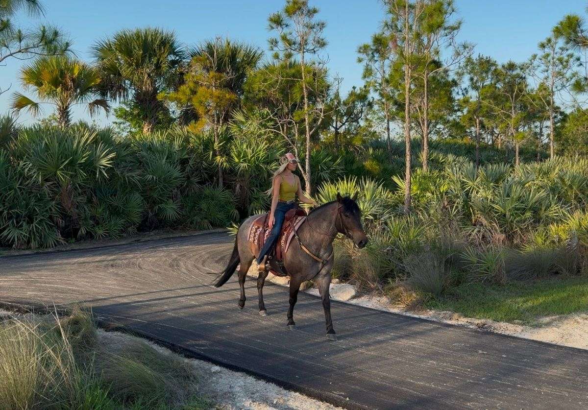Slick - Outstanding Ranch and Trail Horse 8 yo Bay Roan AQHA Gelding!