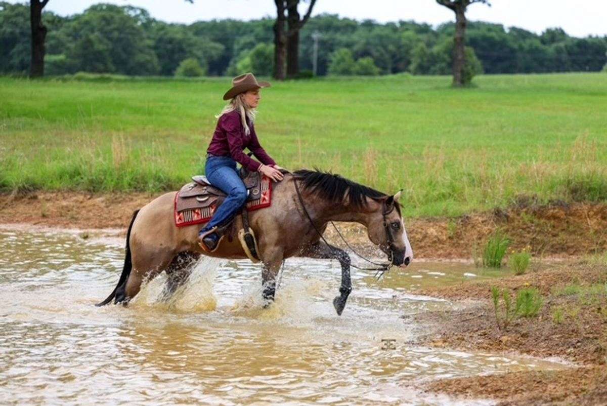 Rip - Handsome Ranch & Reining Horse 4 Yr Old Buckskin AQHA Gelding!