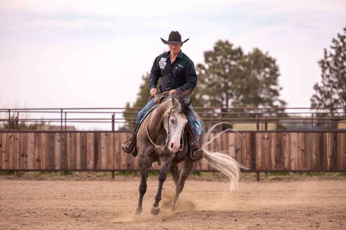 Rico - Stunning Ranch and Trail Horse Deluxe 6 yo Grey AQHA Gelding!