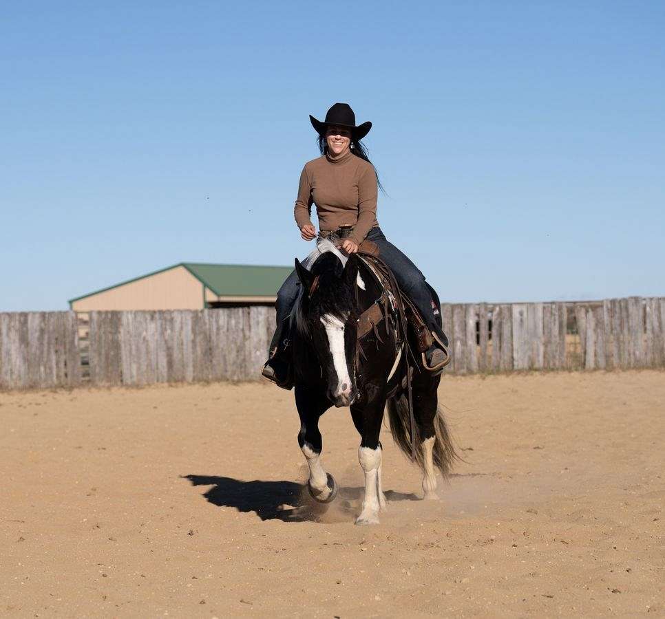 Nala - Incredibly Gentle & Versatile 4 Yr Old Paint Cross Bred Mare!