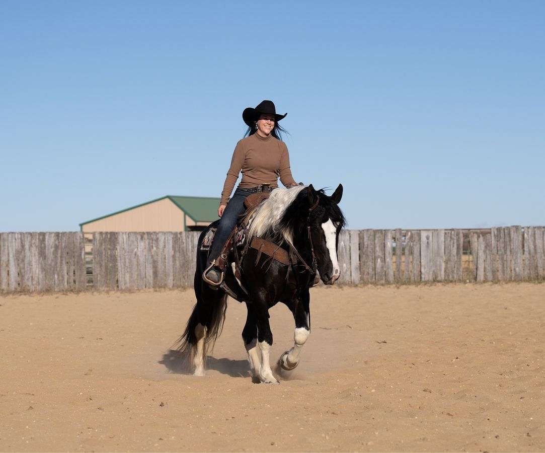 Nala - Incredibly Gentle & Versatile 4 Yr Old Paint Cross Bred Mare!