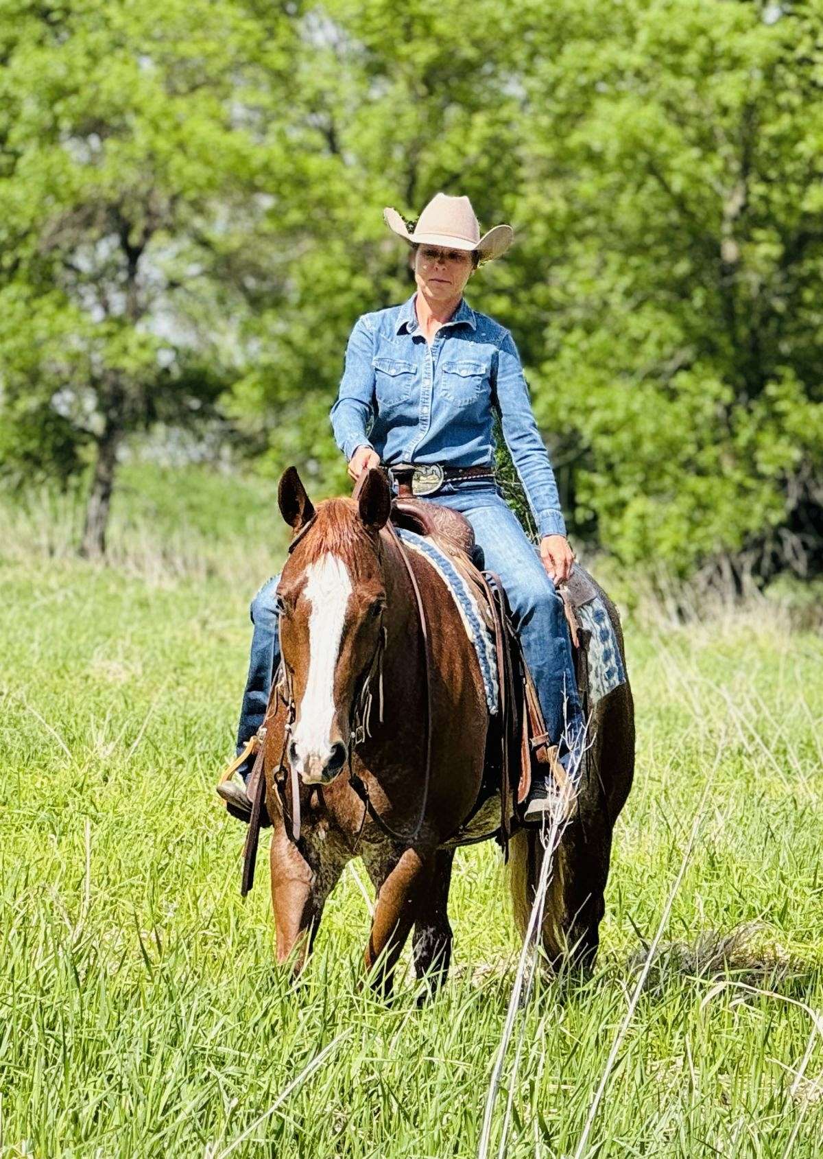 Gretzsky - Fantastic Ranch & Cutting Horse 6 yo Rabicano AQHA Gelding!