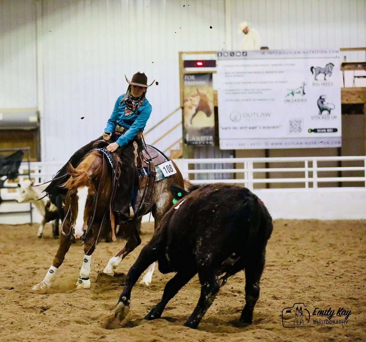 Gretzsky - Fantastic Ranch & Cutting Horse 6 yo Rabicano AQHA Gelding!