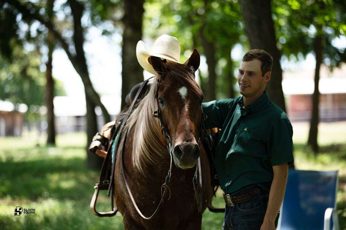 Berry - Show Horse Deluxe 12 Yr Old Red Roan AQHA Gelding!