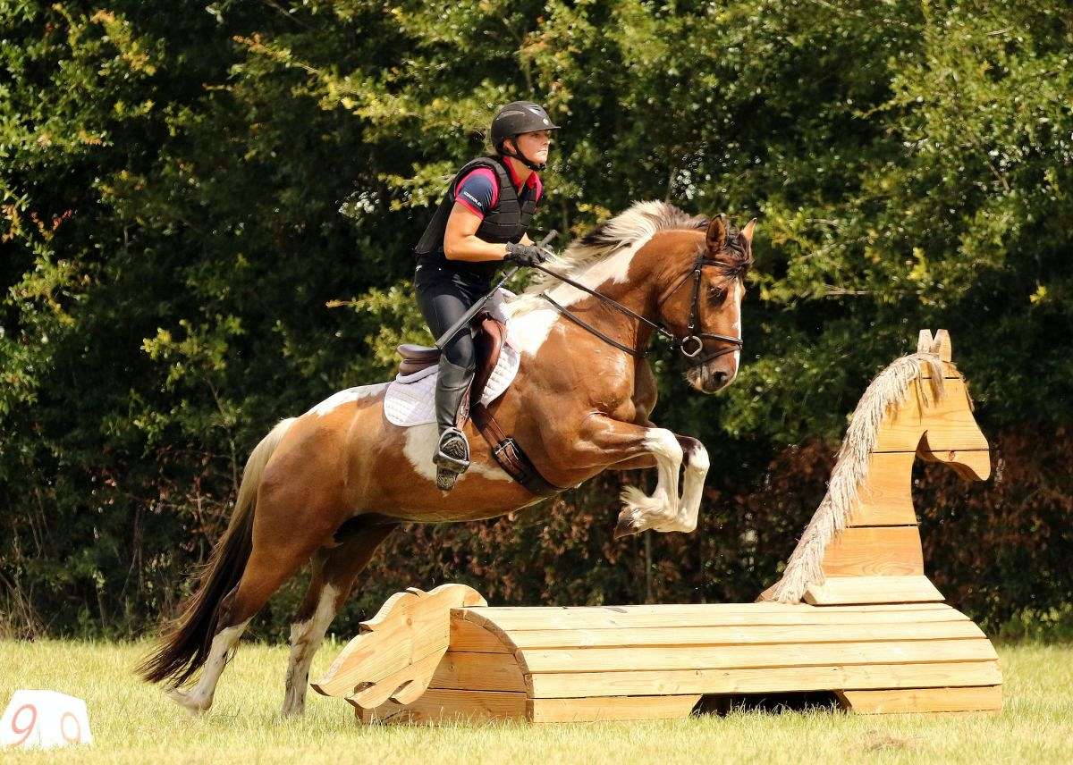 Dinnafash--Gypsy Cross Skewbald Paint Mare (2020)