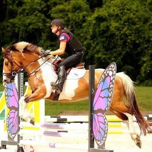 Dinnafash--Gypsy Cross Skewbald Paint Mare (2020)
