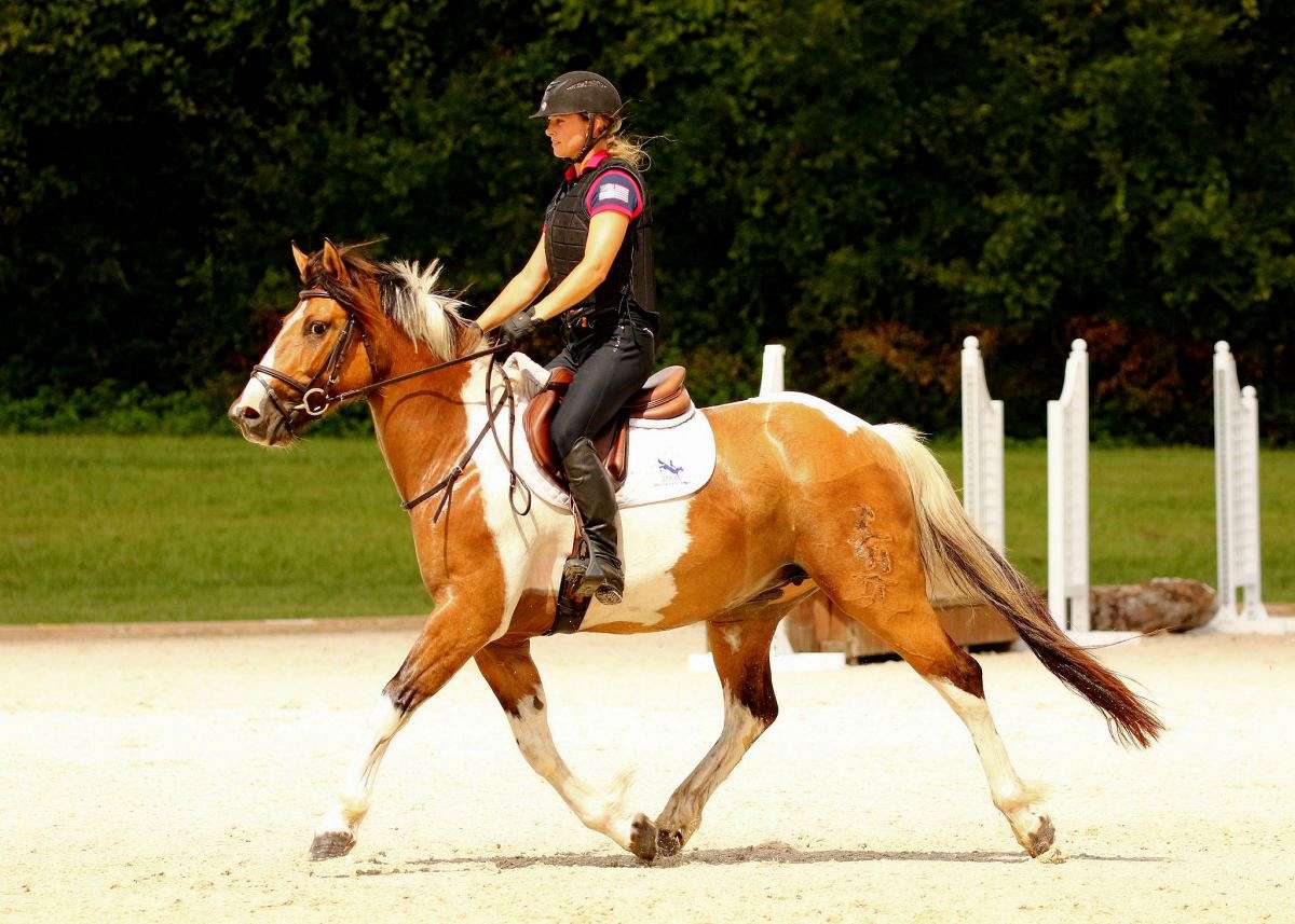 Dinnafash--Gypsy Cross Skewbald Paint Mare (2020)