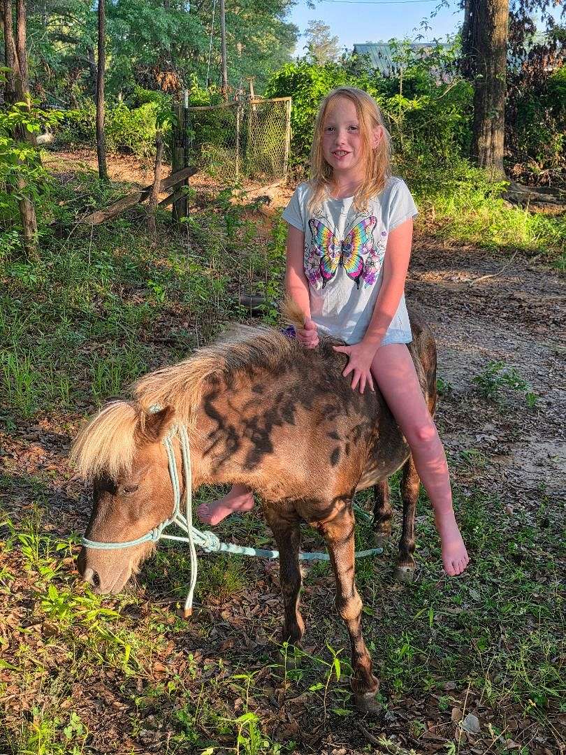 10 Year Old Therapy Pony