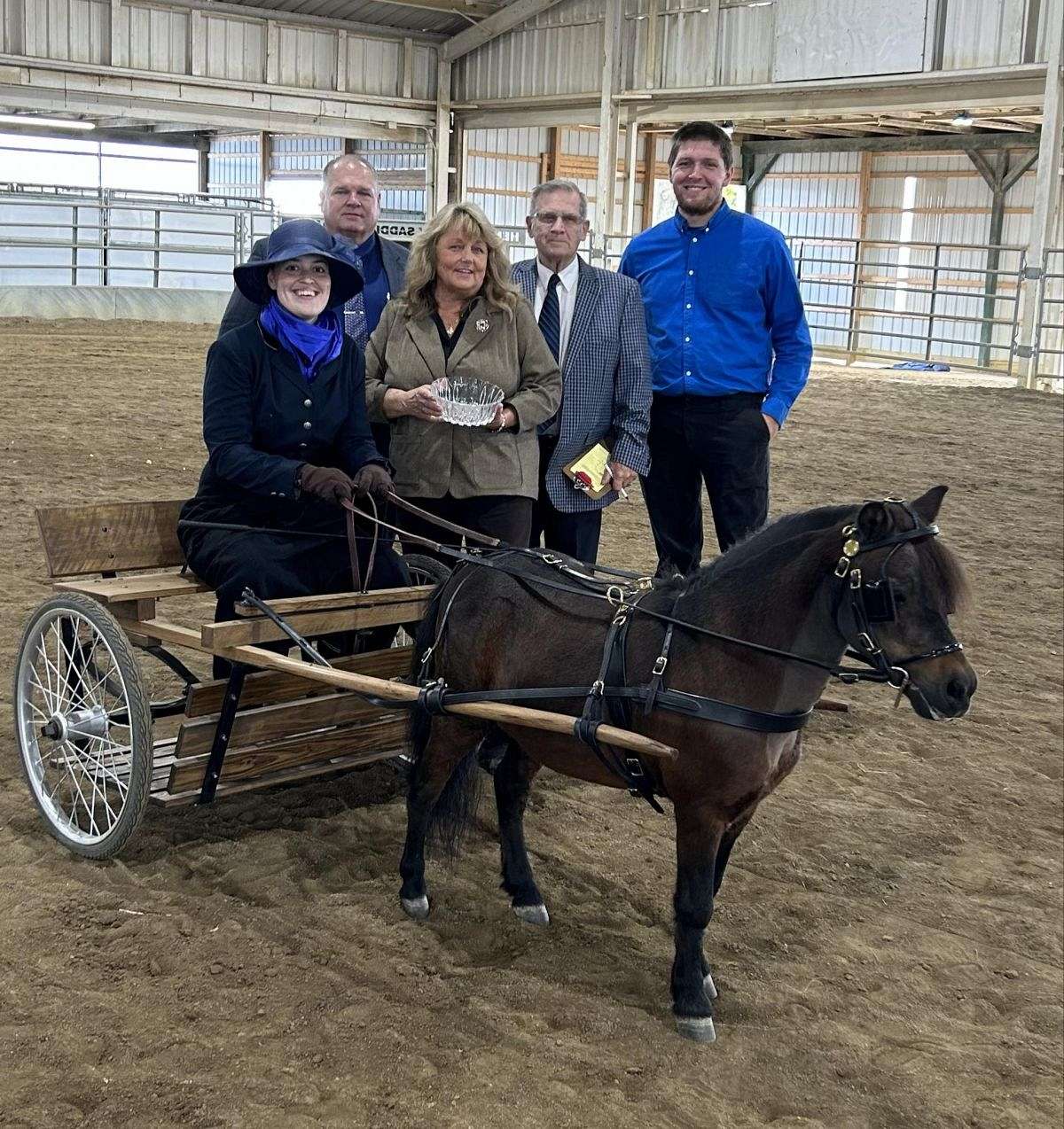 AMHA/AMHR World Top 5 Stallion