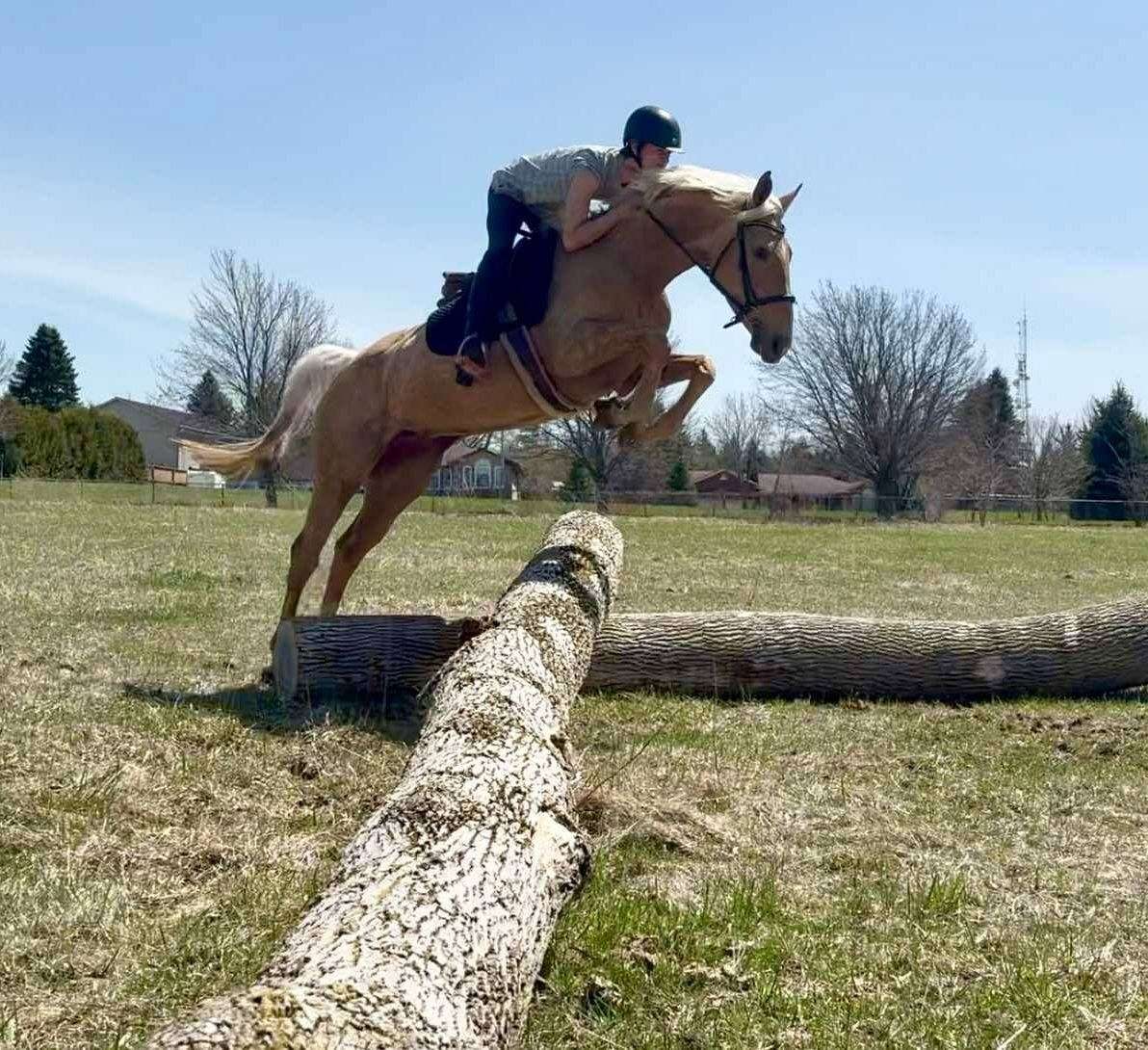 In Utero Ragnarok X Arts Aero