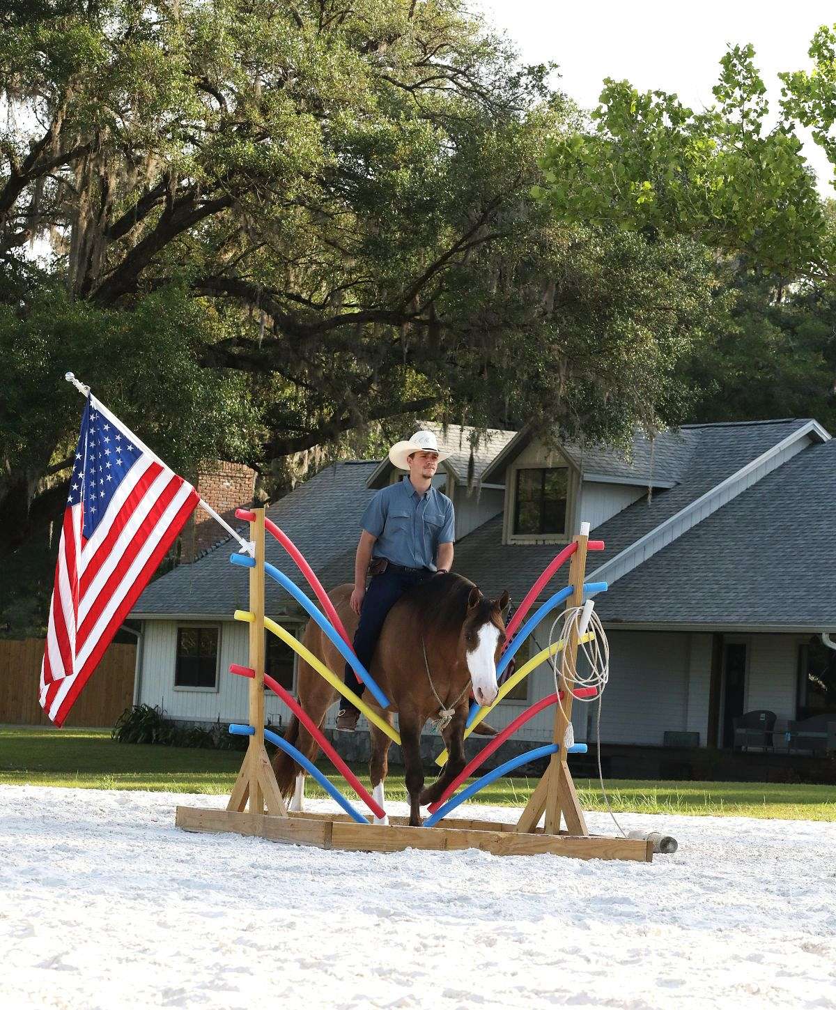 Tinsel a 6 Yr 15 Hands AQHA Grullo Dun Gelding| Premier Horse Sale