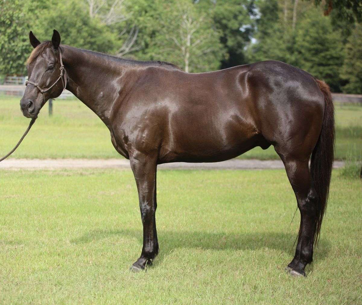 Runaway Grand Slam “River”