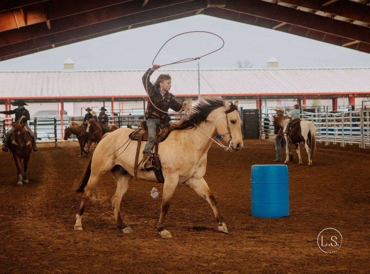Wilson - Solid Ranch & Roping Horse 7 Yr Old Buckskin Quarter Horse Gelding