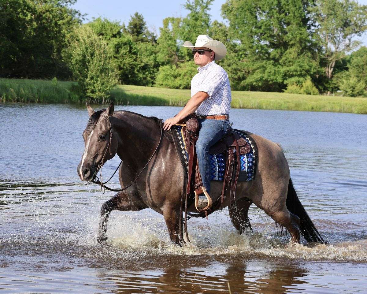 Pumbaa - Stunning Ranch & Rope Horse 7 Yr Old Grulla AQHA Gelding!