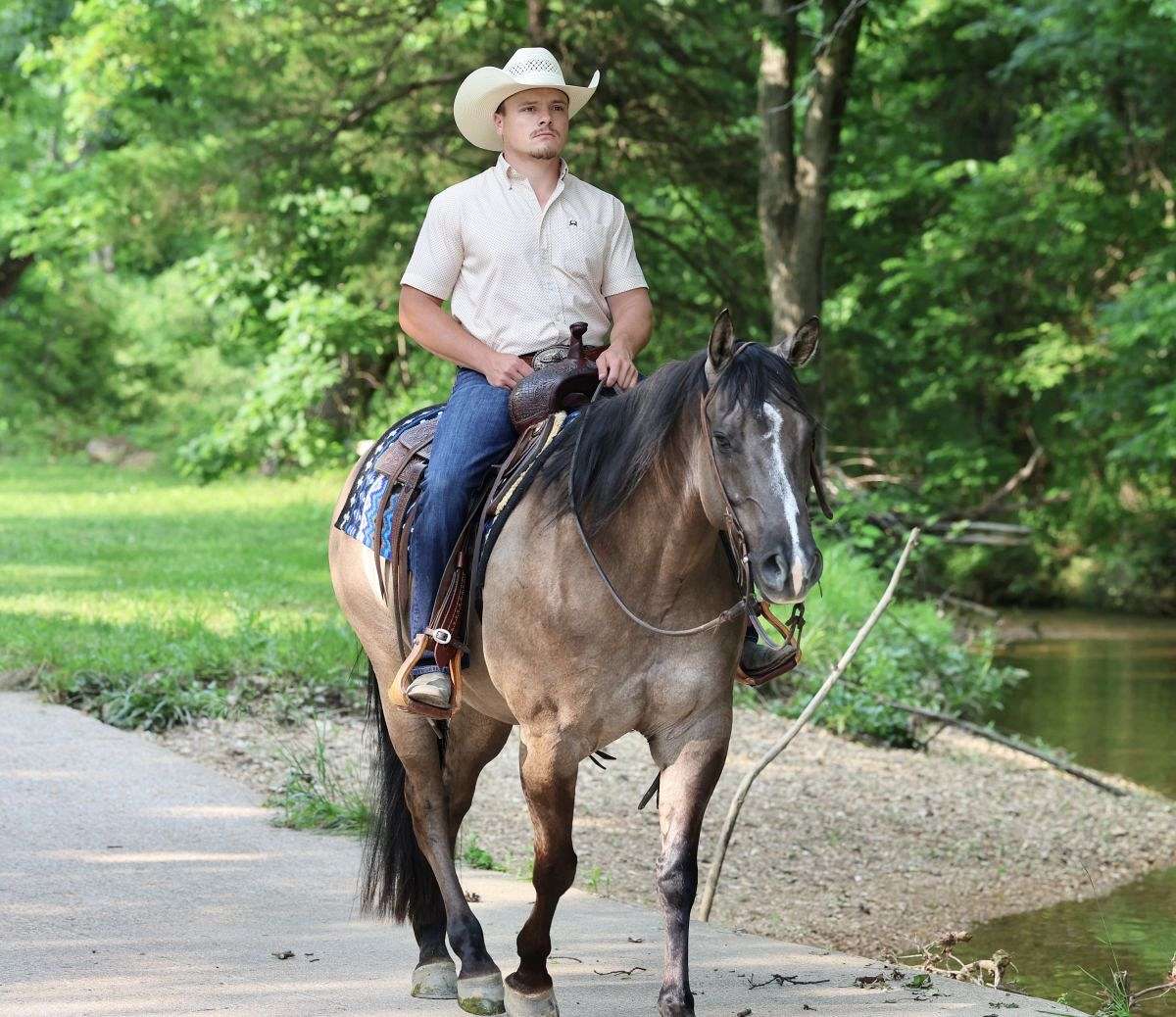 Pumbaa - Stunning Ranch & Rope Horse 7 Yr Old Grulla AQHA Gelding!