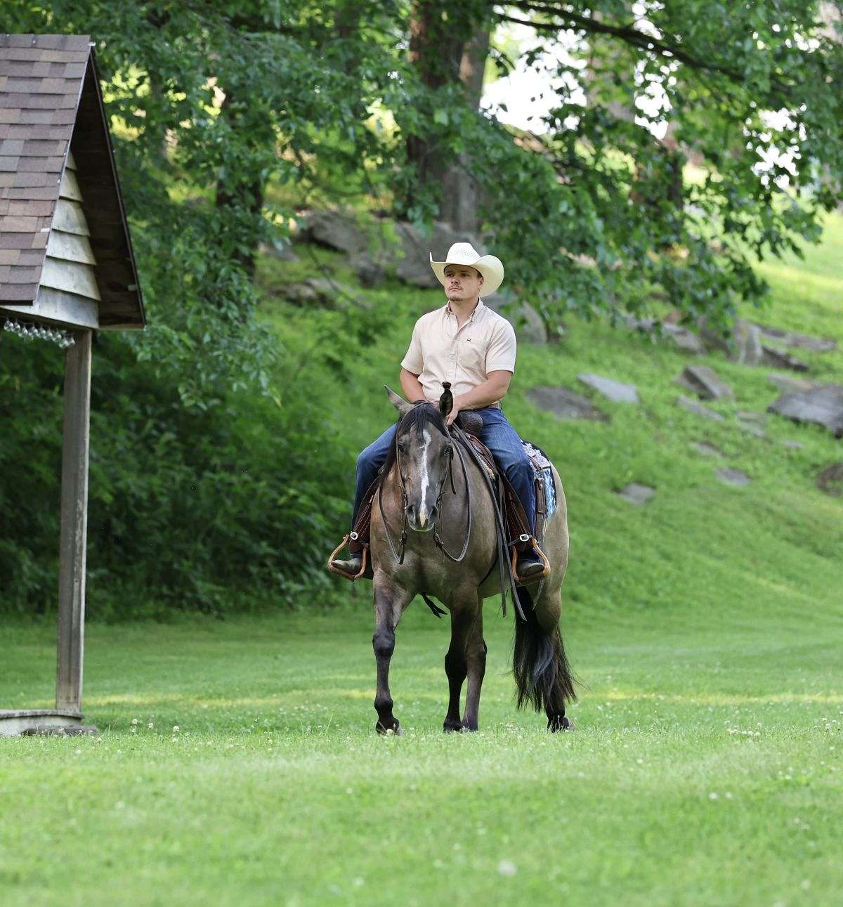 Pumbaa - Stunning Ranch & Rope Horse 7 Yr Old Grulla AQHA Gelding!