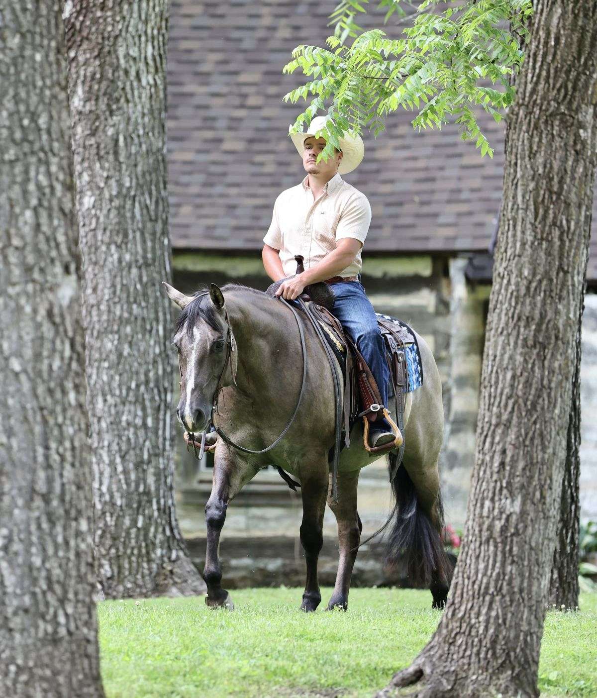 Pumbaa - Stunning Ranch & Rope Horse 7 Yr Old Grulla AQHA Gelding!