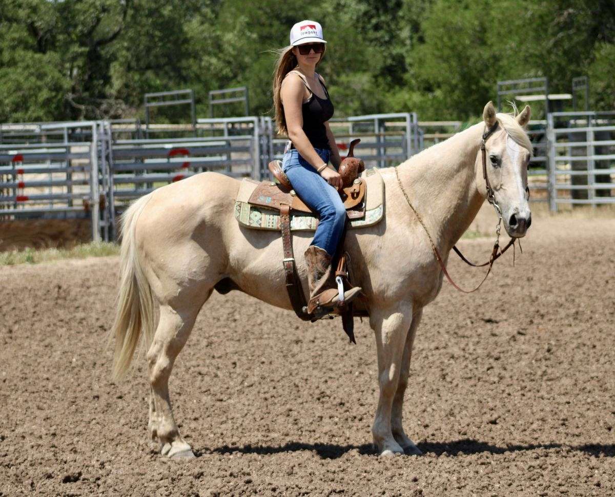 He’S As Close to Bombproof As They Get - His Video Speaks for Itself