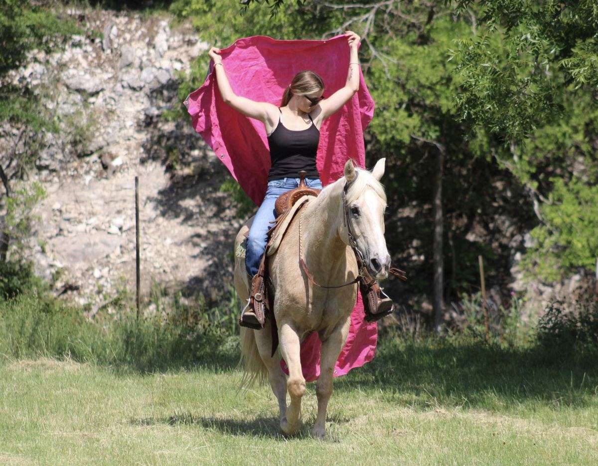 He’S As Close to Bombproof As They Get - His Video Speaks for Itself