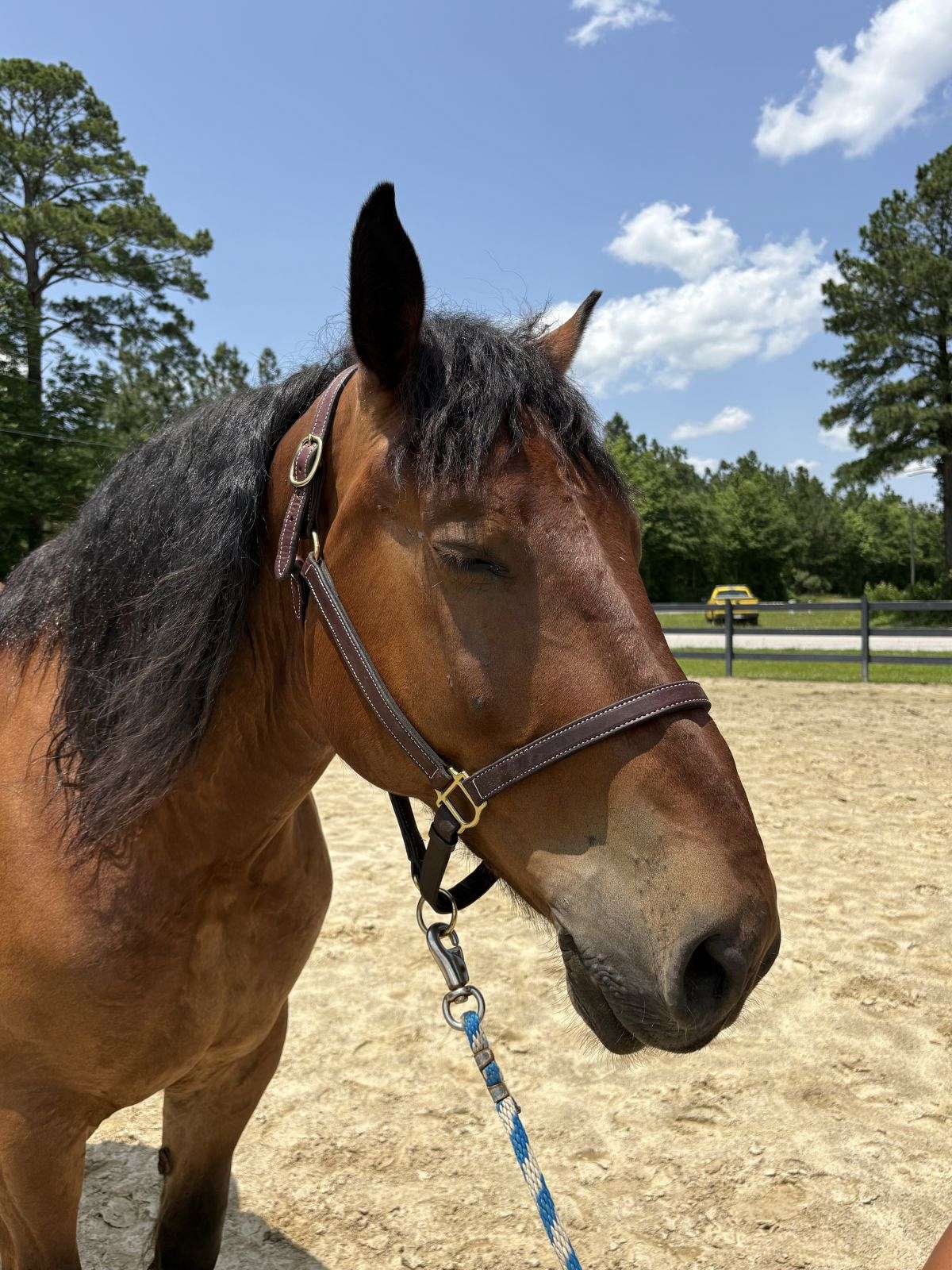 Bombproof Draft Cross