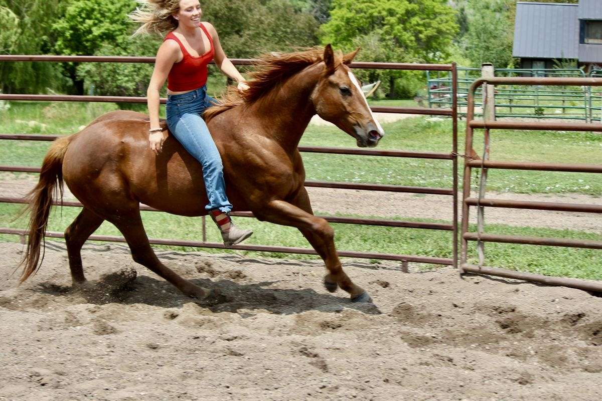 Touche is a One of a Kind 2023 Sorrel QH Mare With a Gentle Soul