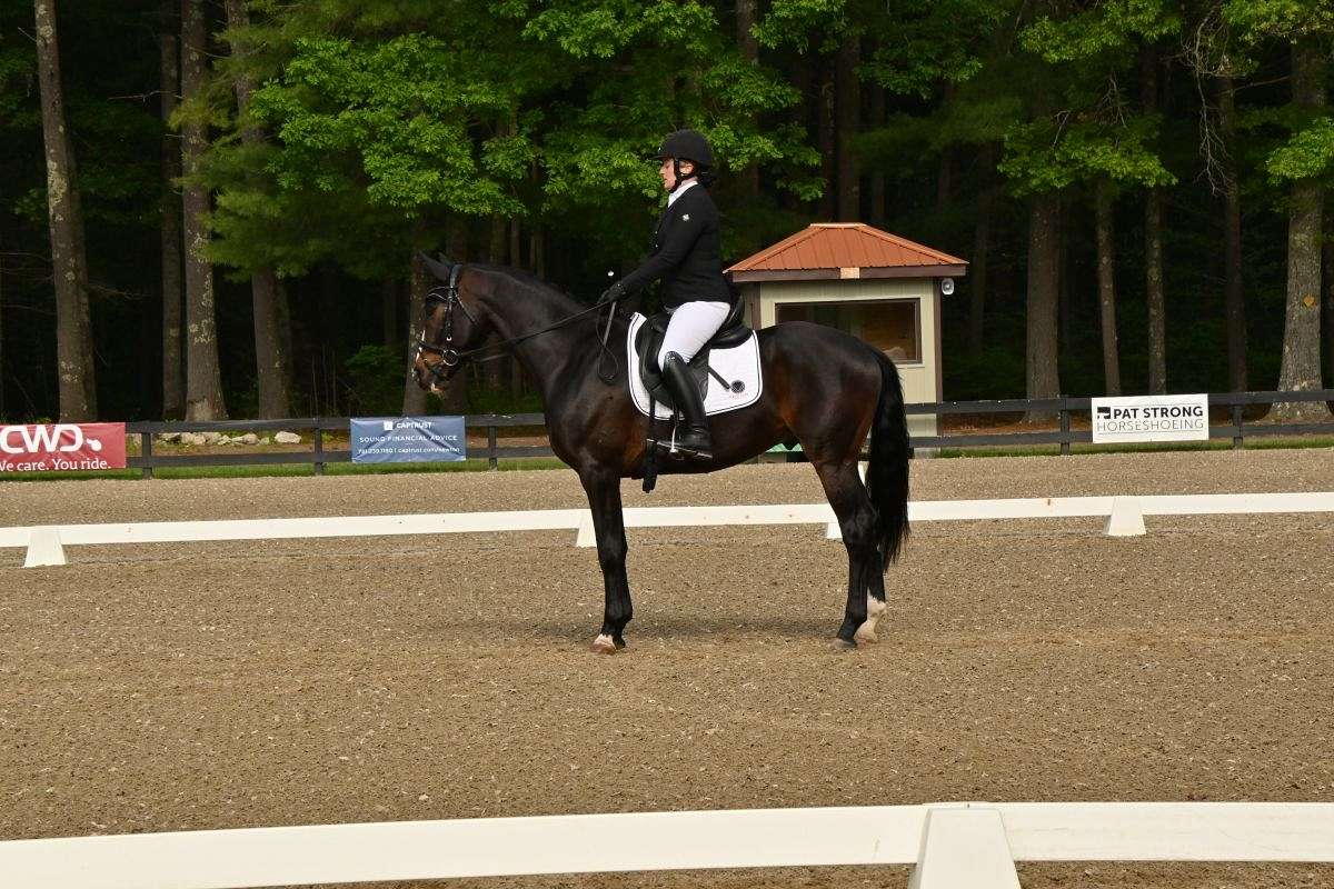 For Your Consideration: Harrison Pford Hu, "Harry"